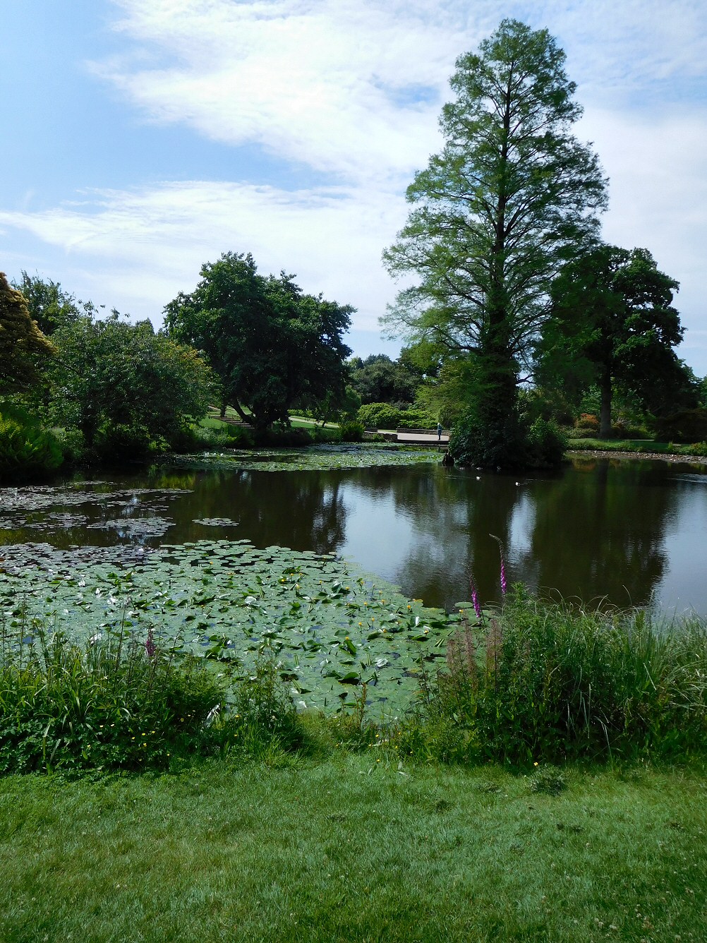 Wakehurst Place | ObsessedByNature